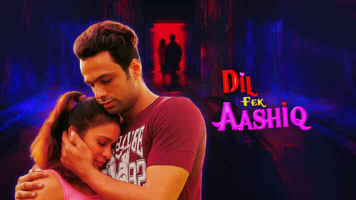 Dil Fek Aashiq Hindi Movie Watch Online on ShemarooMe